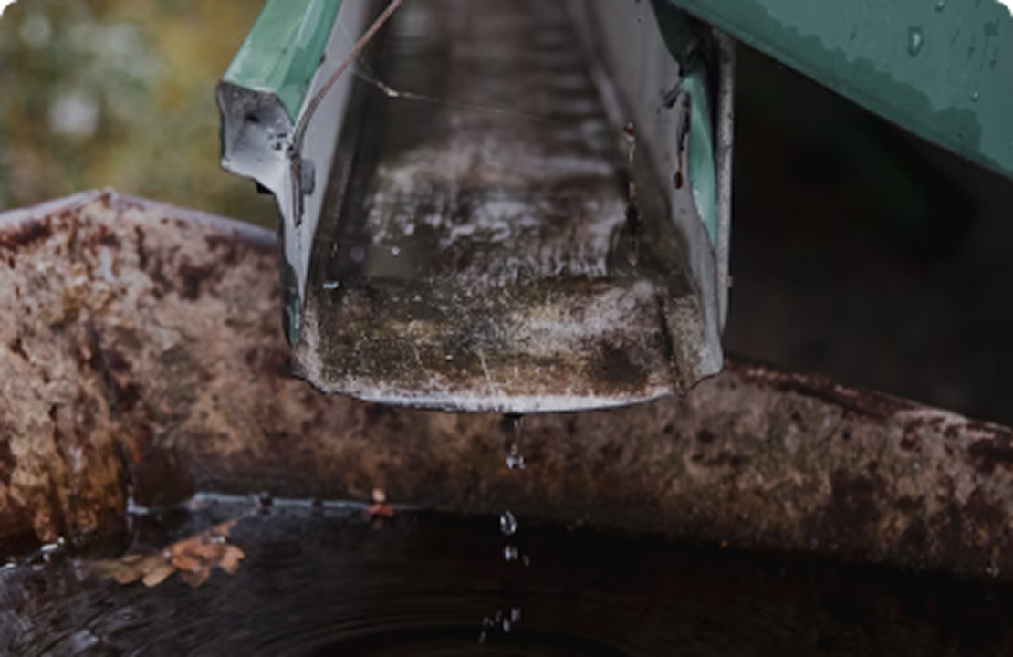 Gutter Cleaning Services in Sydney | Action Roofing
